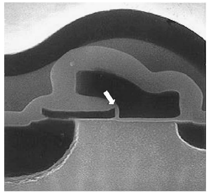 Rem cross-section of sst split gate cell [14]. the edge
