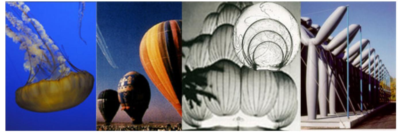Figure 7 - from Similarities between structures in nature