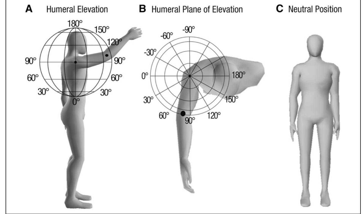 Figure 1 - from Range of Motion Requirements for Upper-Limb