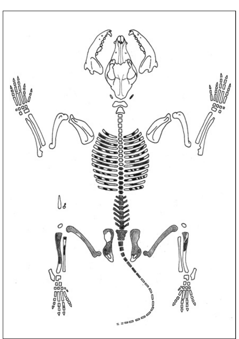 Figure 49 - from Andrew Fiske Memorial Center for