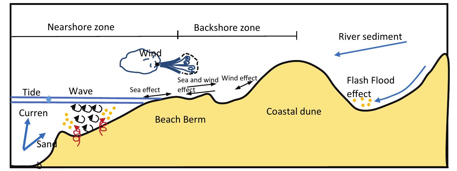 Schematic diagram showing the sediment movement between land