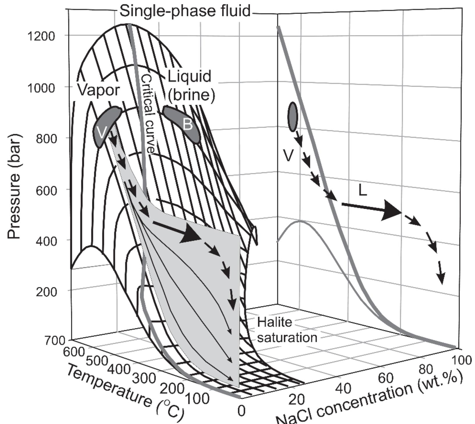Phase stabilities in nacl + h2o fluid system, emphasizing