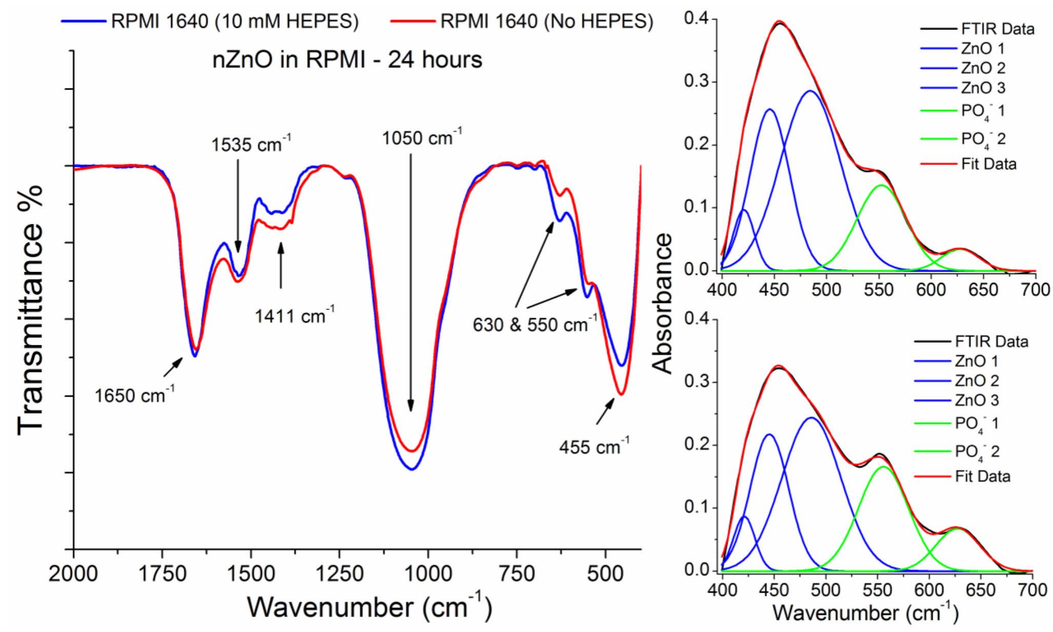 (a) ftir spectra of nzno incubated in rpmi 1640 with (blue)