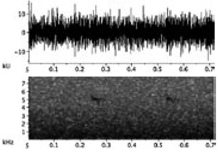 Spectrogram (frequency [khz]) and wave- form (rel. amplitude