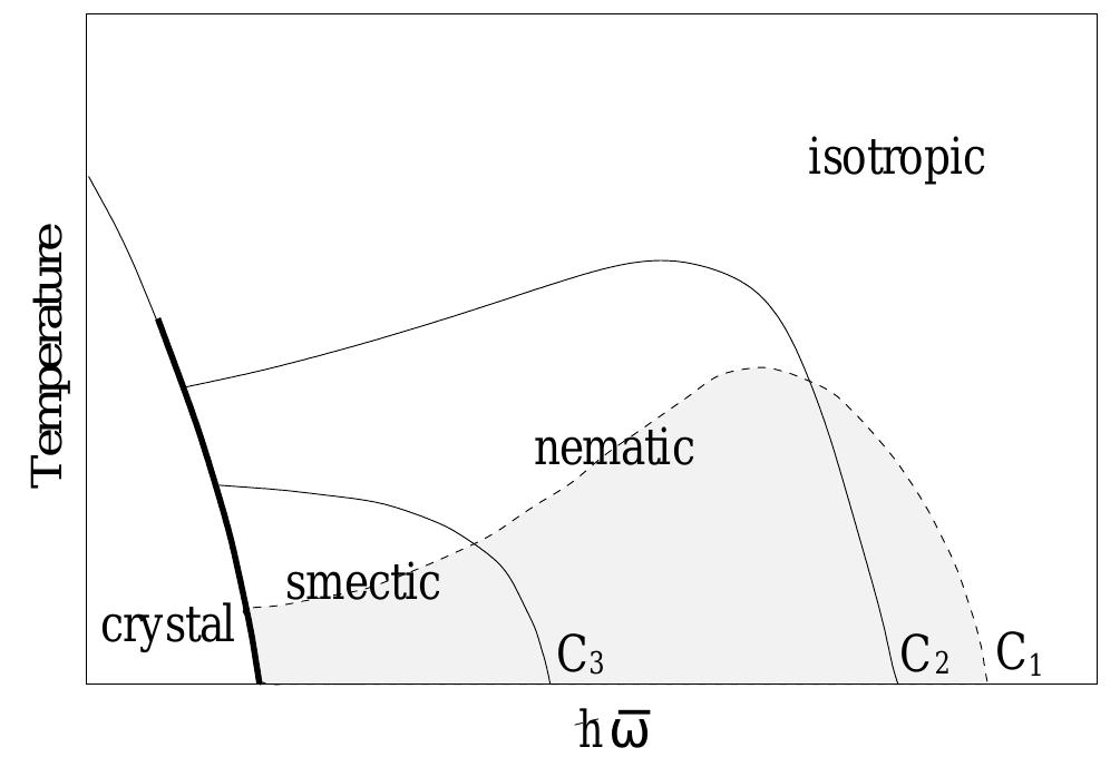 Schematic phase diagram of a fluctuating stripe array in a