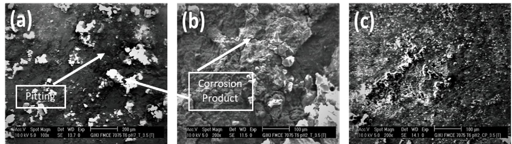 Sem images of the corroded surfaces after polarization tests