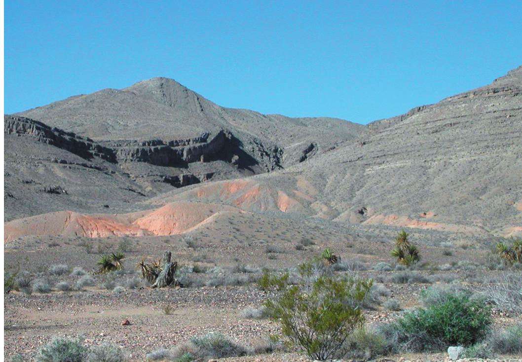 Cliffs of paleozoic limestone at the mouth of arrow canyon.