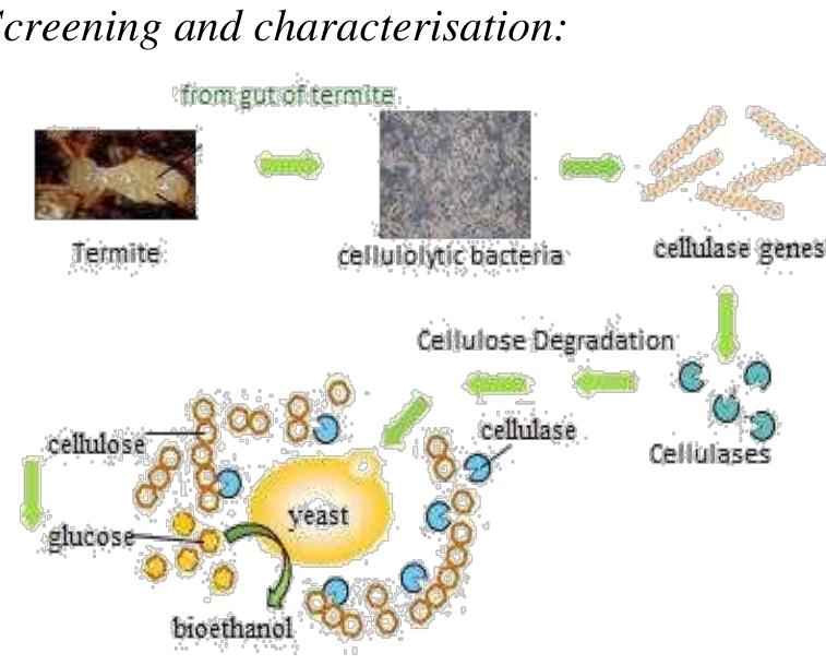 An overview of isolation of bacteria and their mode of