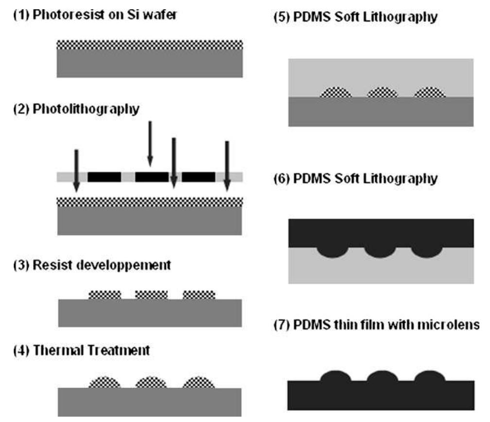 Schematic representation of pdms microlens array fabrication