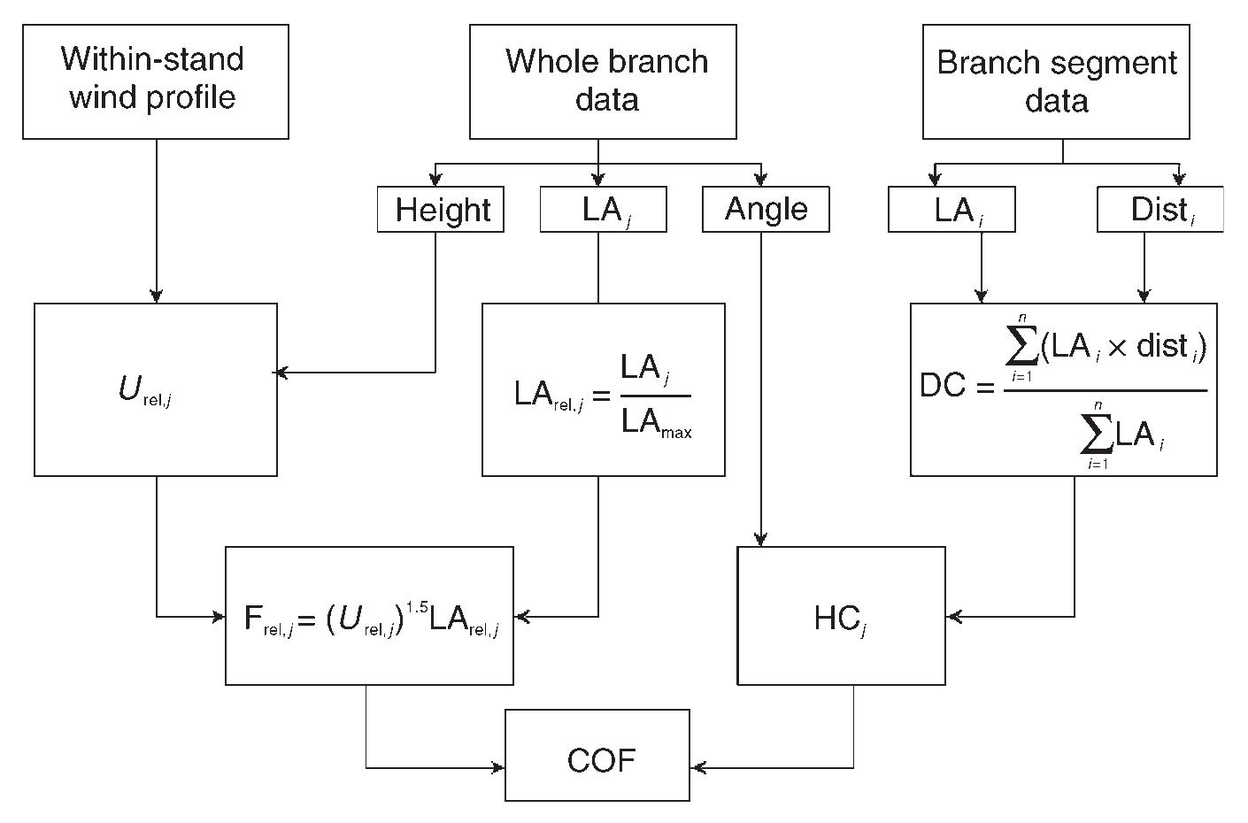 Mation on branch geometry and location on the tree.