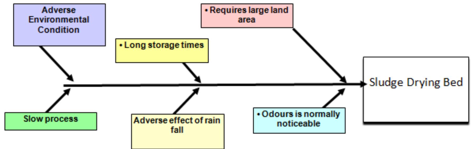 Fish bone diagram of sludge drying bed 2.2.2 computer a ided