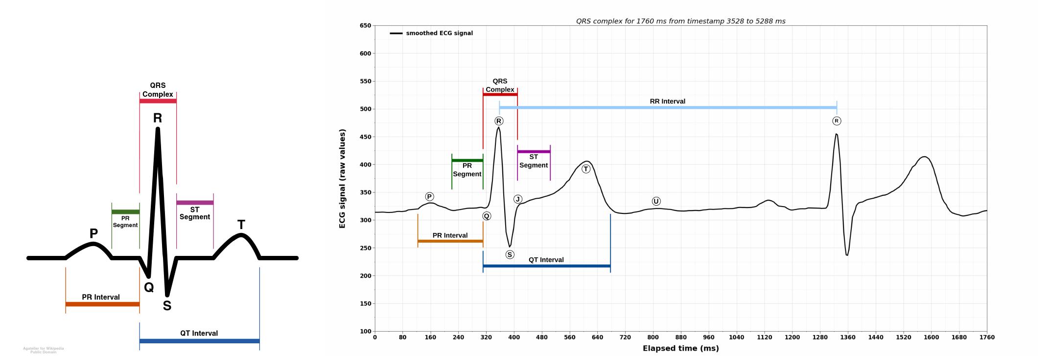 The left panel depicts an ideal schematic representation of