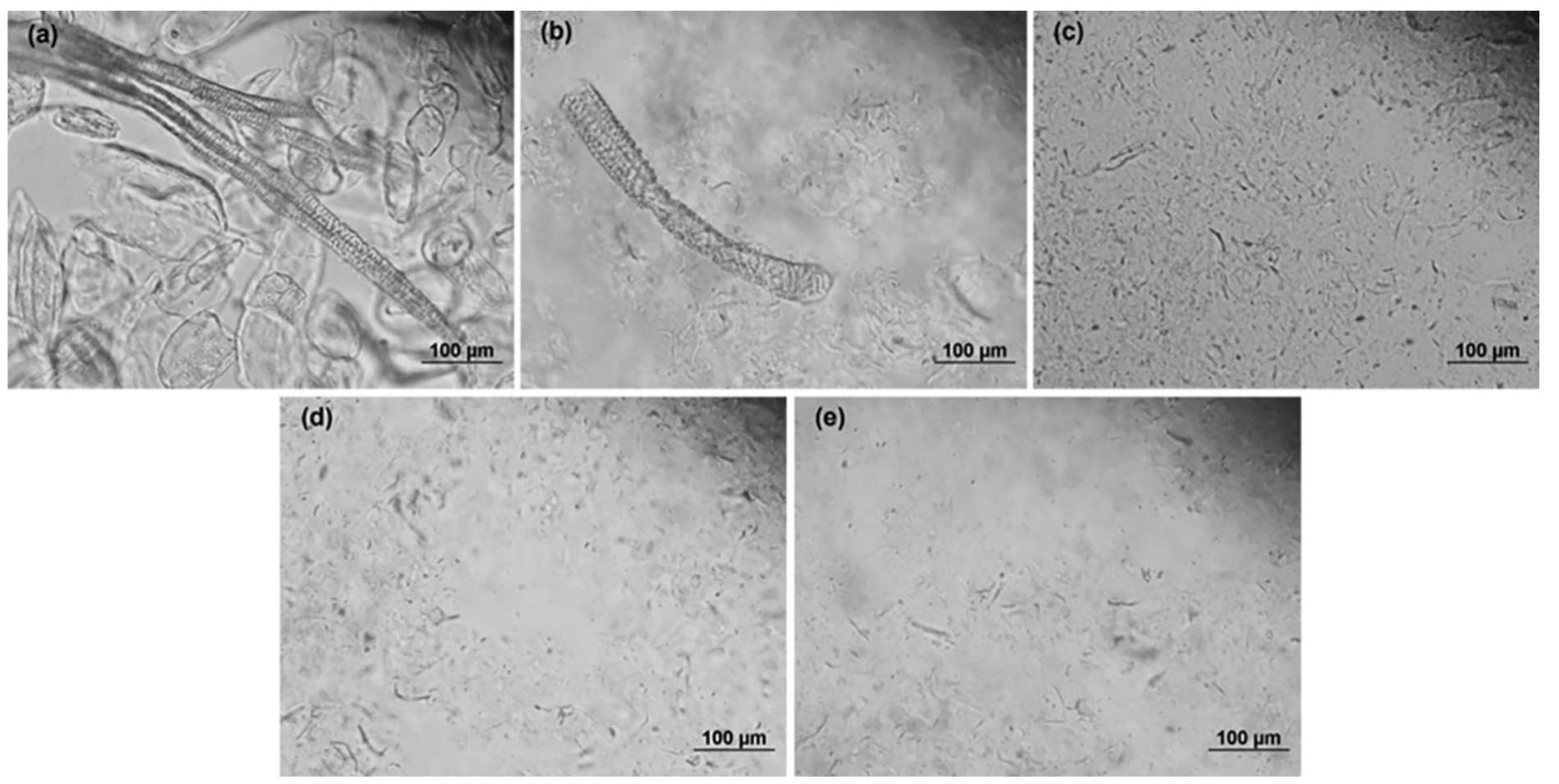 Optical microscopy images of enzyme-hydrolyzed sbp after