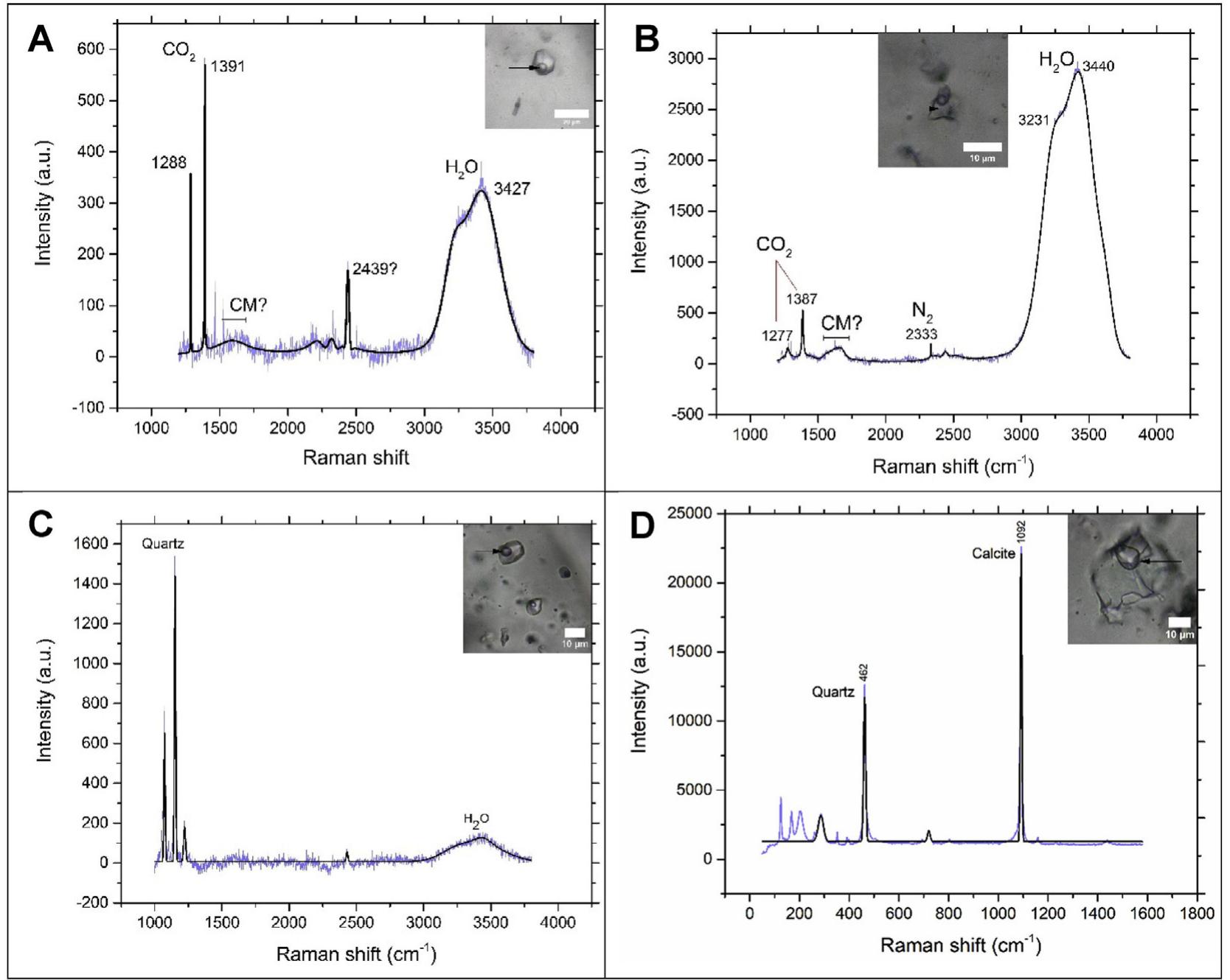 Raman spectra of fluid inclusions. (a) co2-rich inclusion of