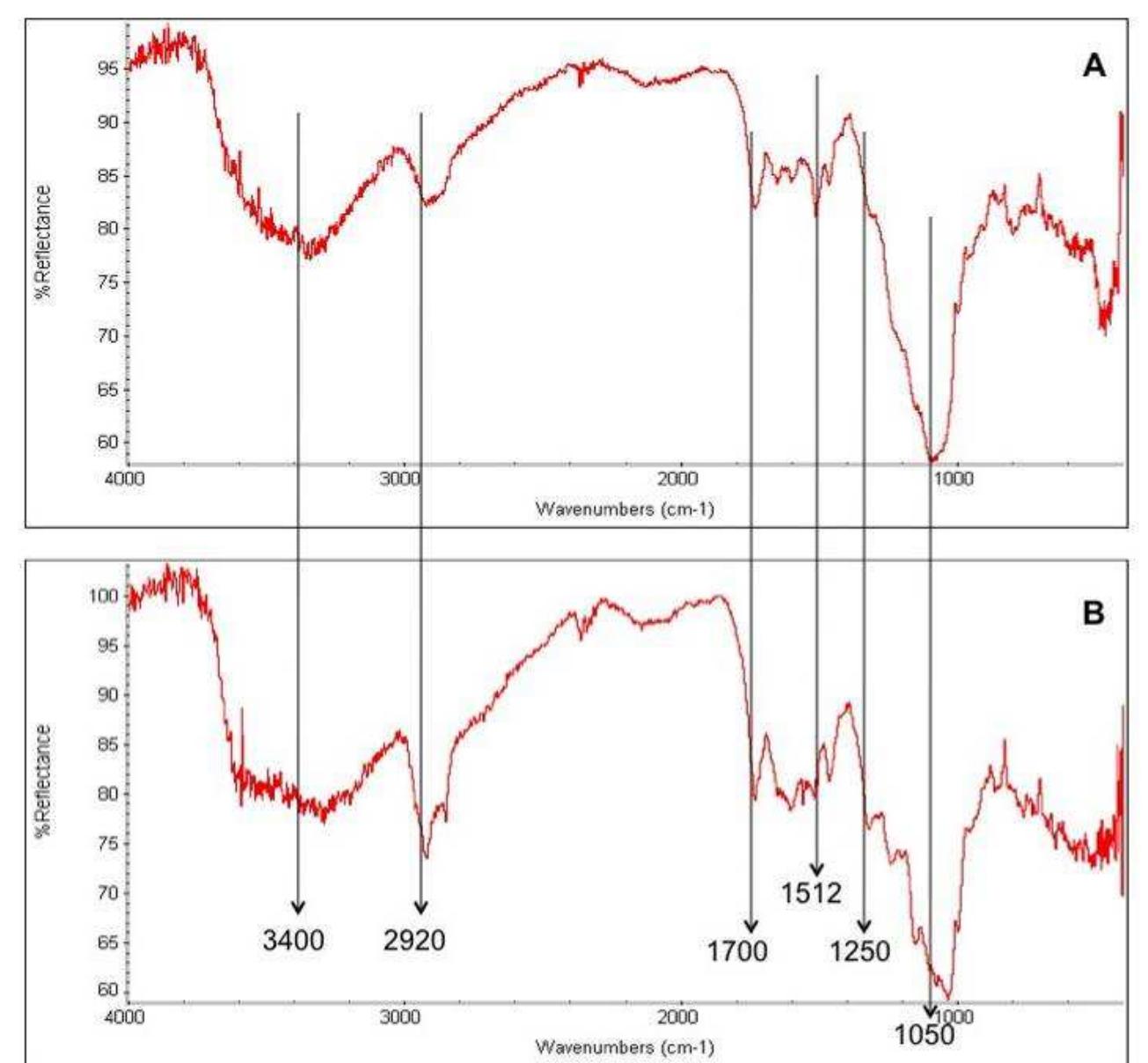 Ft-ir spectra of unused (a) rh and (b) bp sorbent materials.