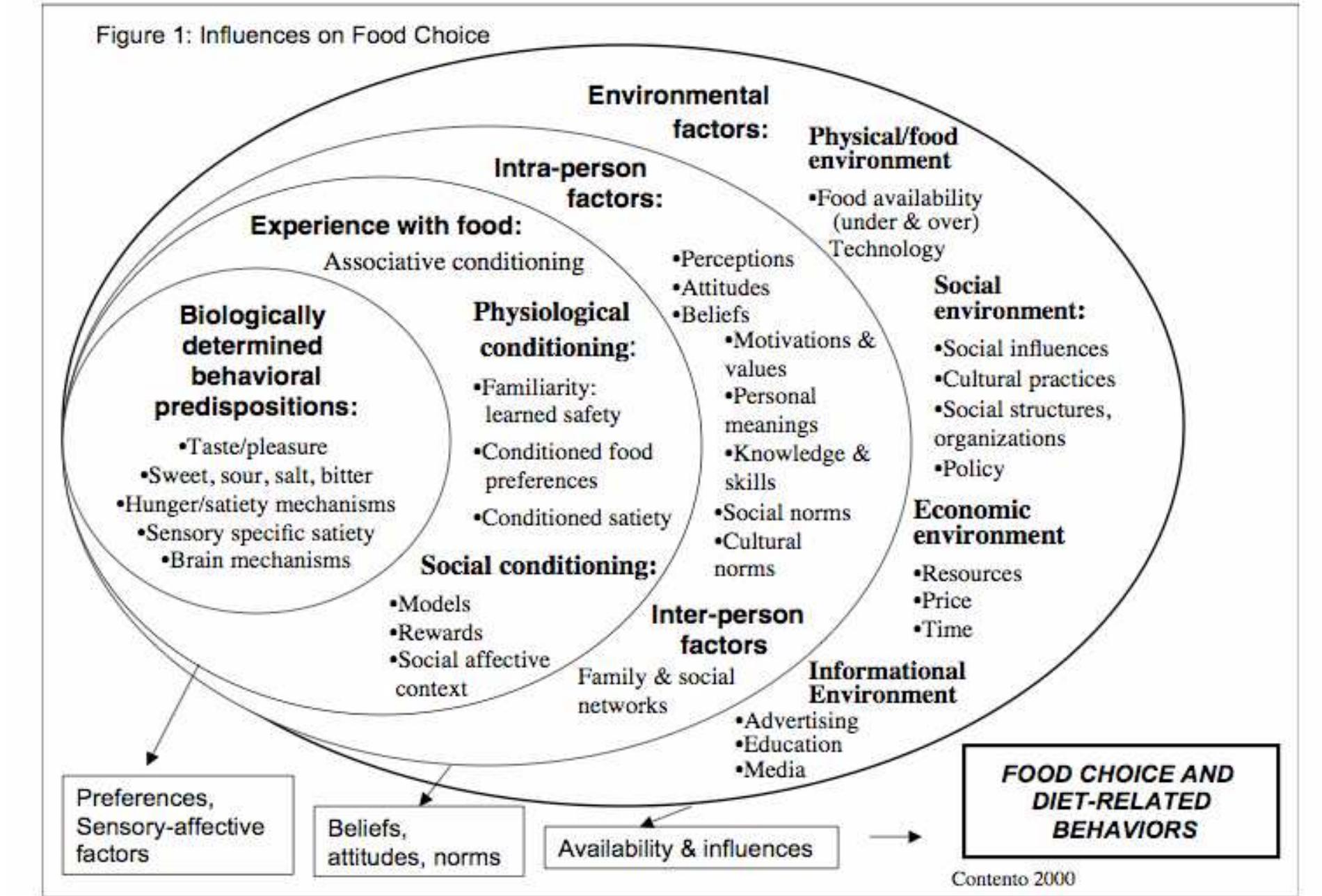 Figure 1 - Nutrition Education: Linking Research, Theory,