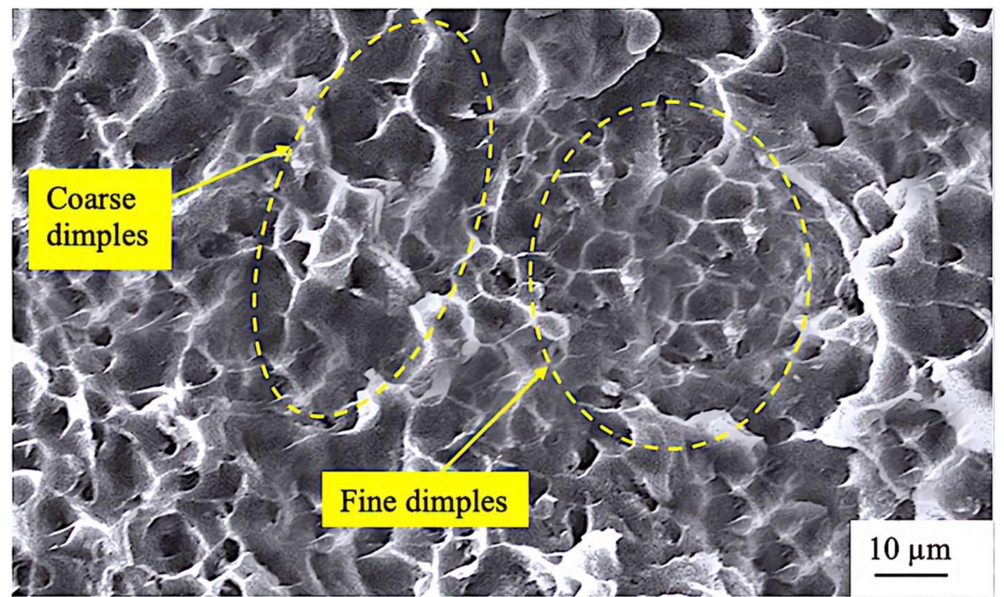 Fracture surface with dimples. the fracture locations of the