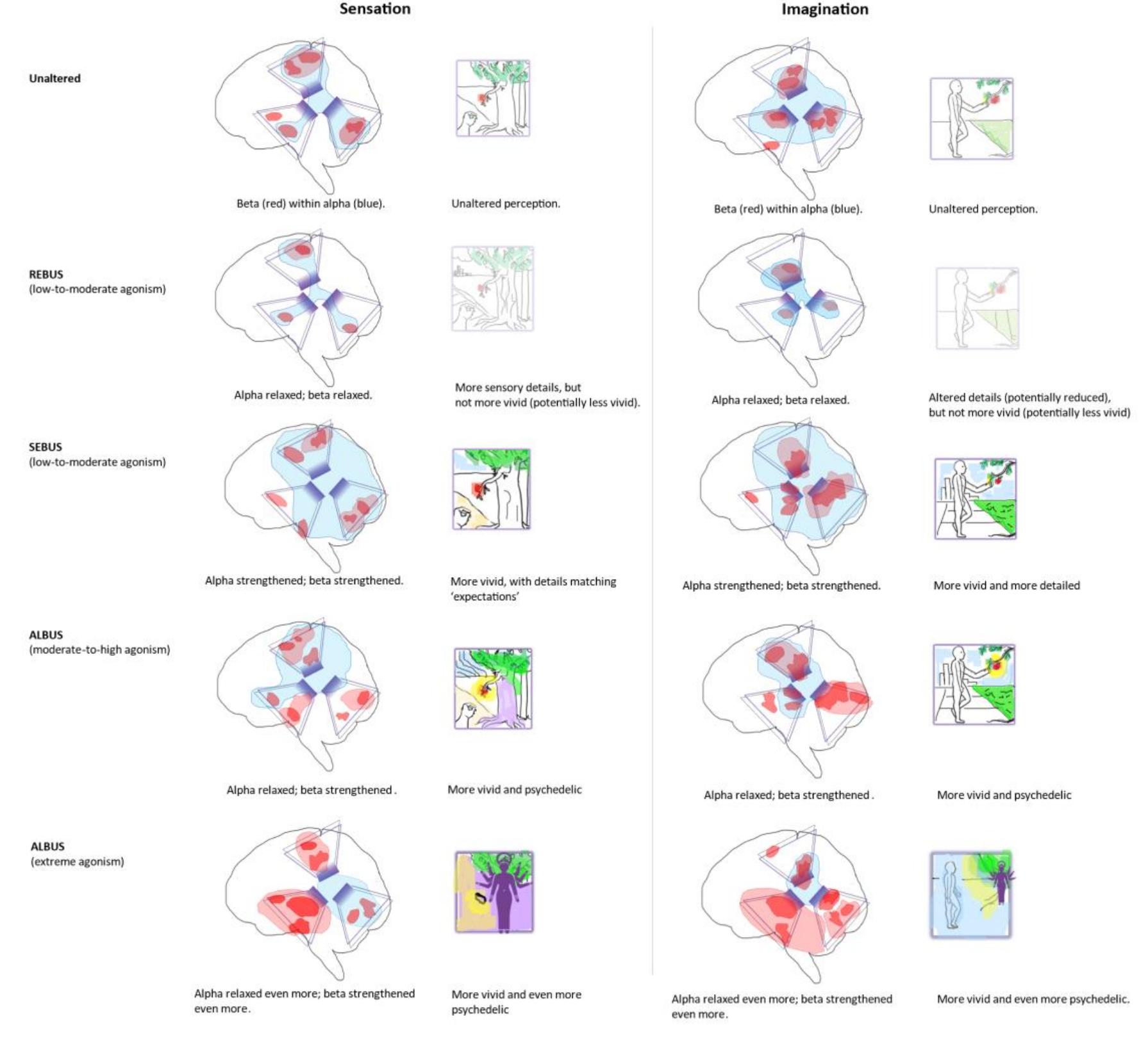 Rebus, sebus, and albus: phenomenology with different