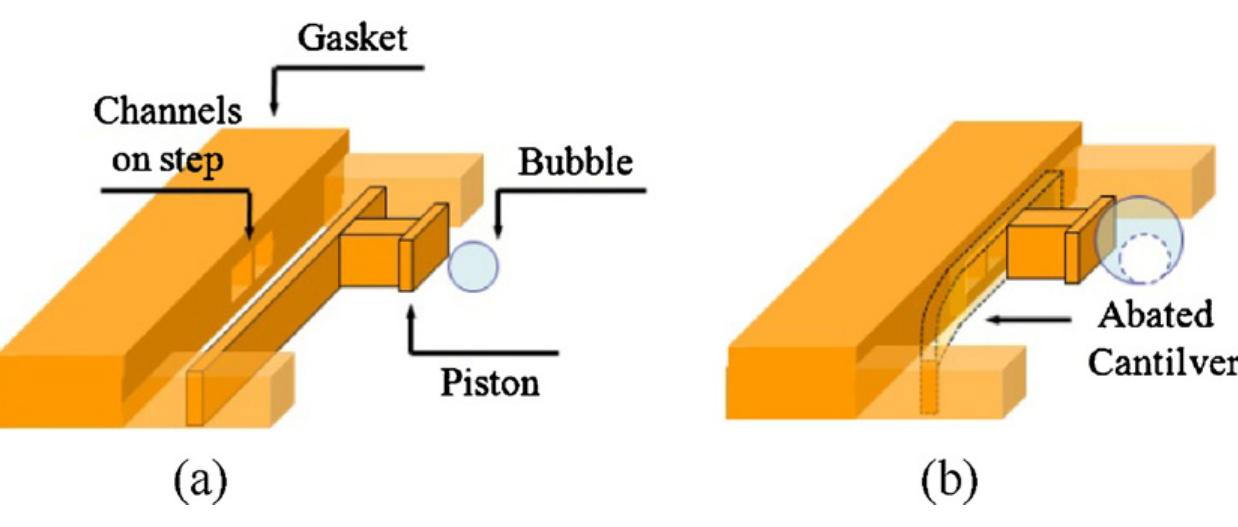 Schematic representation of the valve (a) cantilever at rest