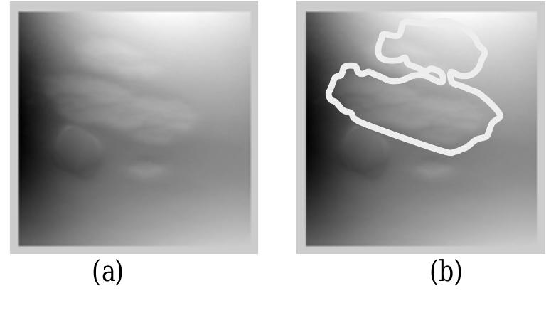 A shows the 2d elevation map of fig. 4. the normal skin is