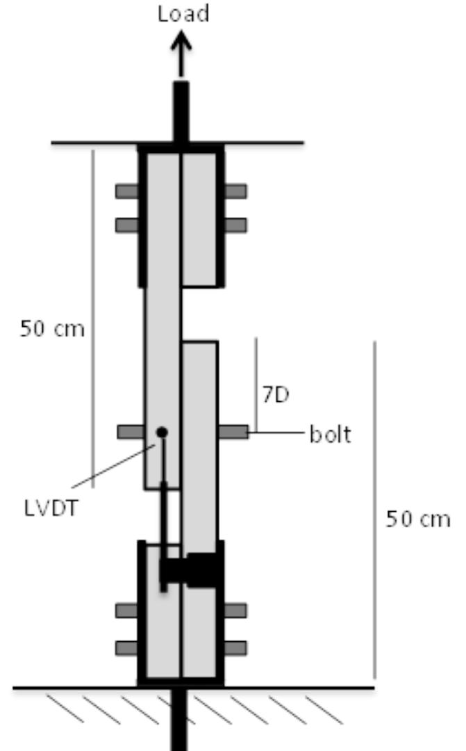 Assembly for testing bolted connection parallel to grain in