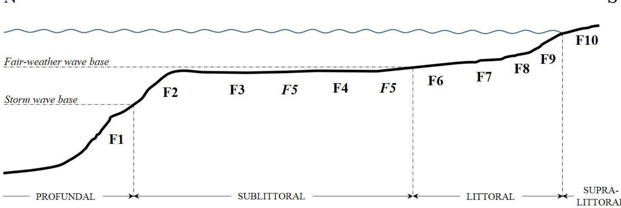 13. schematic representation of the lateral facies