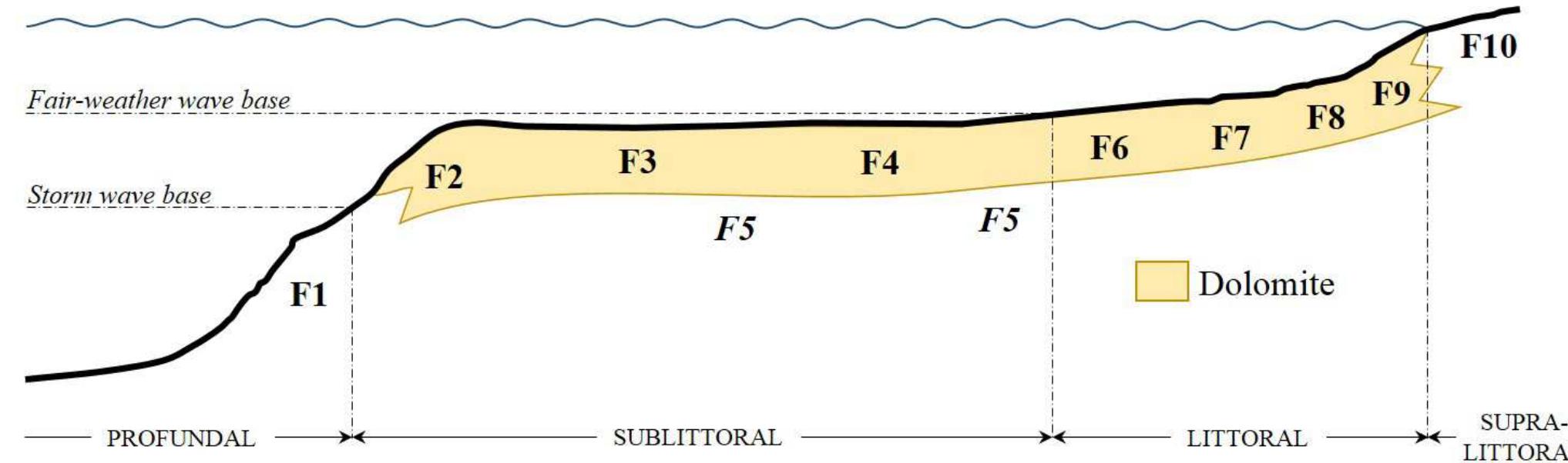 16. schematic representation of facies distribution and