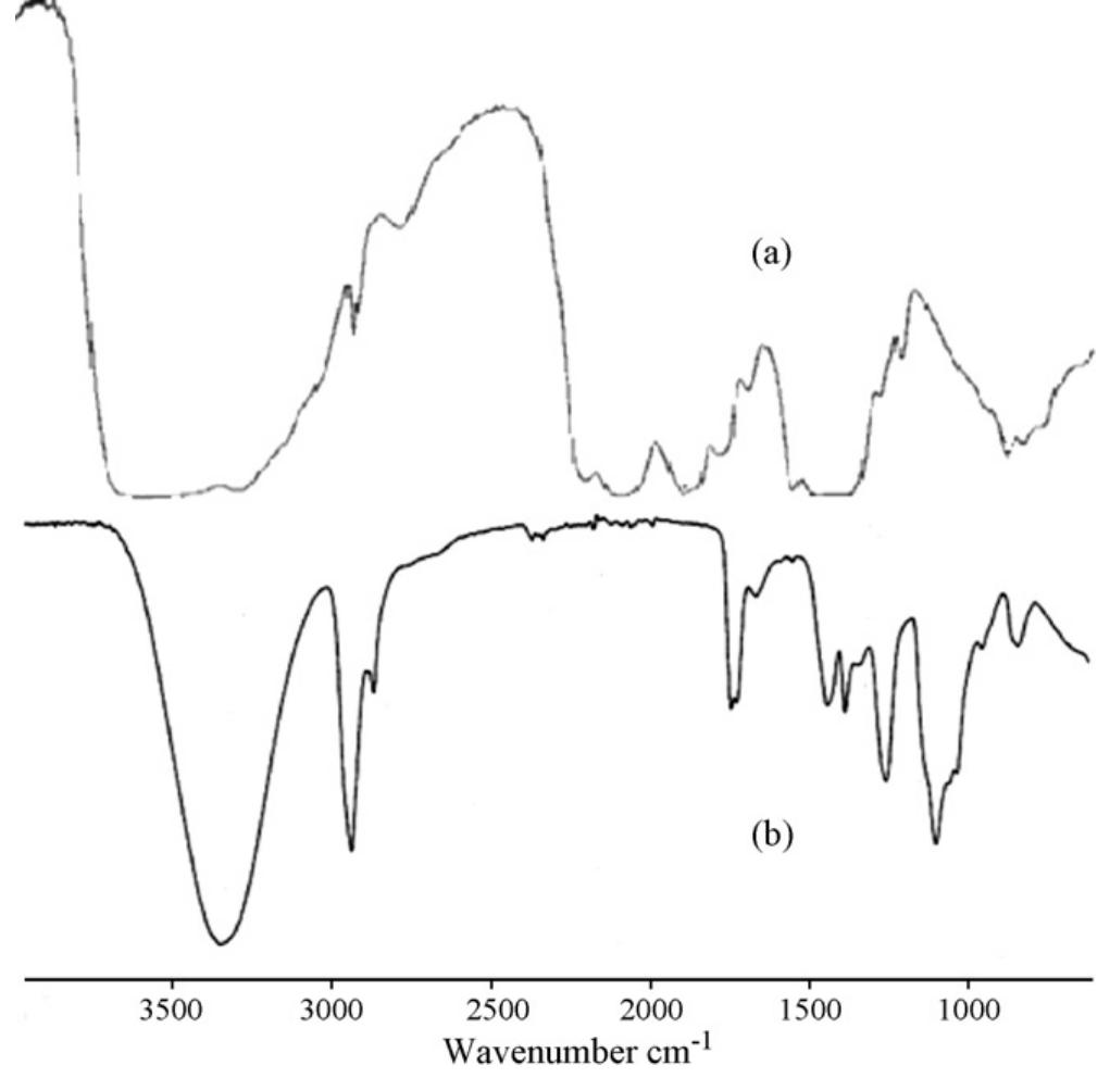 Ftir spectra of (a) chitosan and (b) chitosan-pva film.