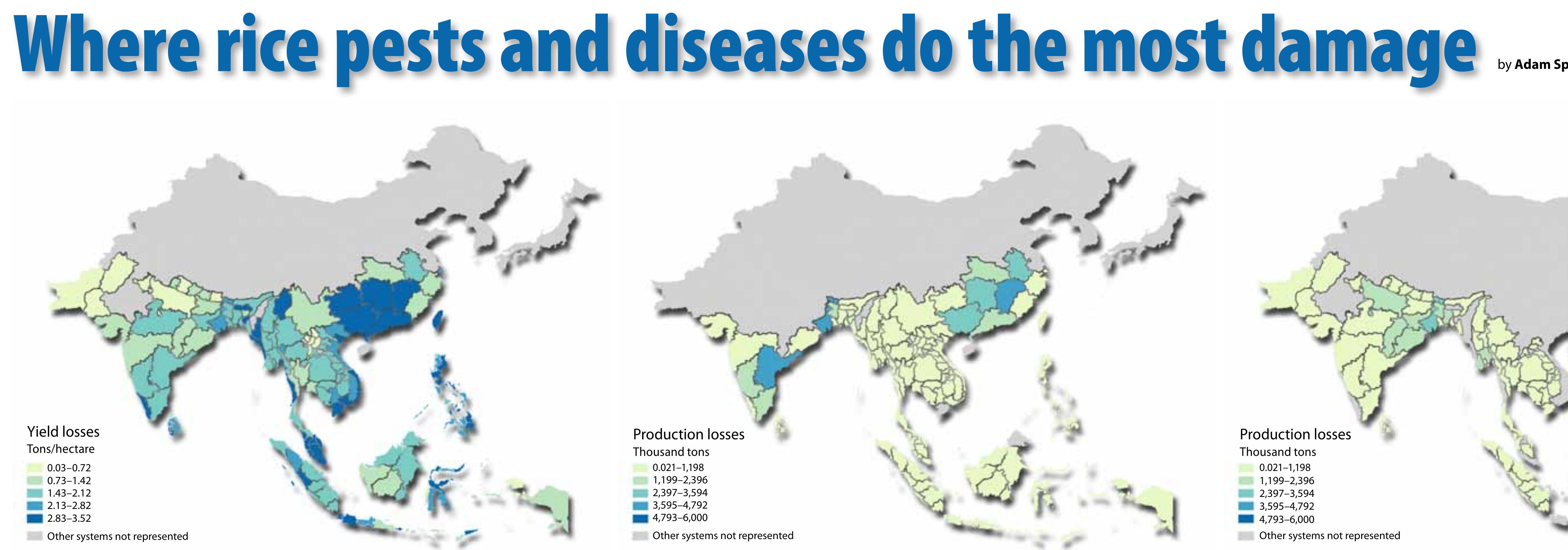 Figure 1 - from Where rice pests and diseases do the most