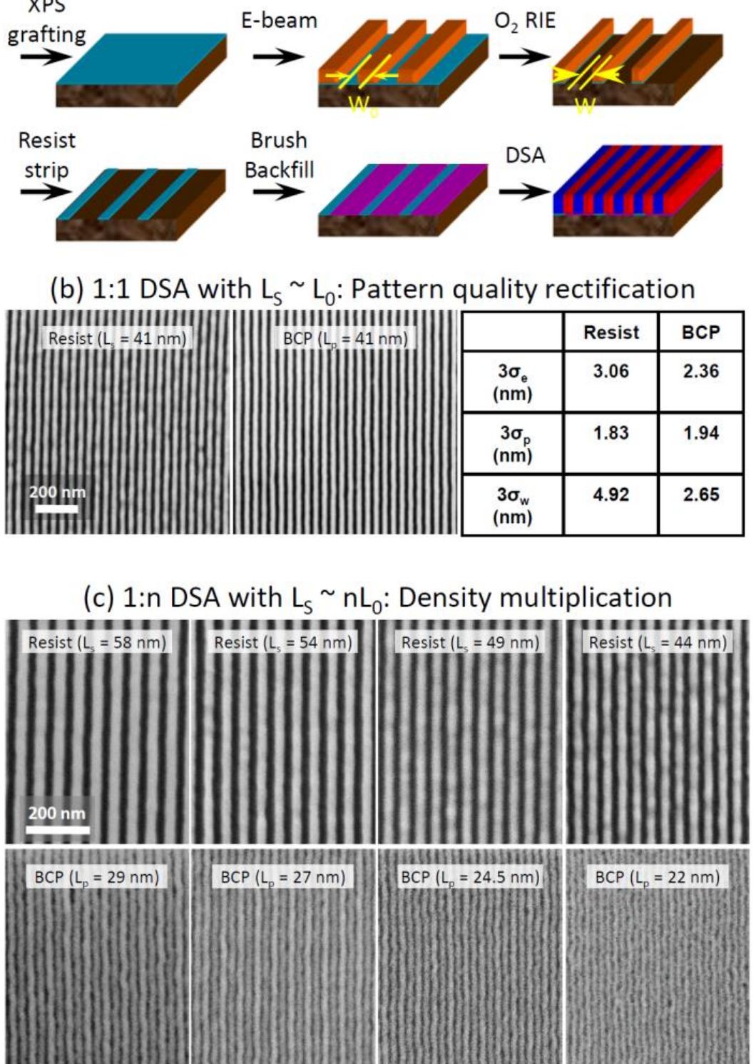 (a) schematic of dsa flow. (b) top-down sem images of e-beam