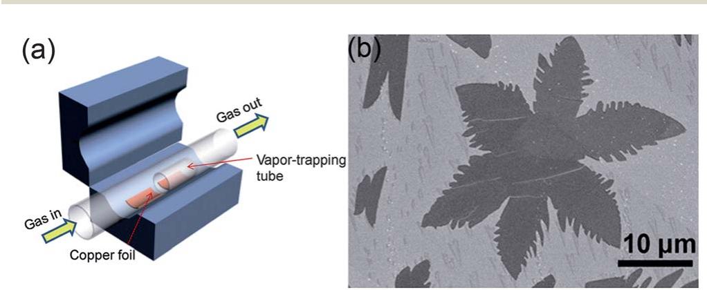 (a) schematic diagram of a vapour trapping cvd method for