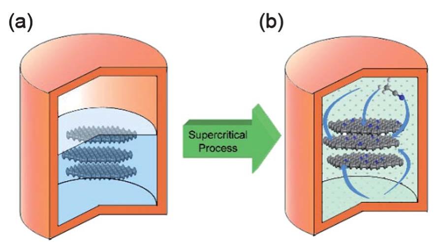 Schematic illustration of n-doped graphene sheets prepared