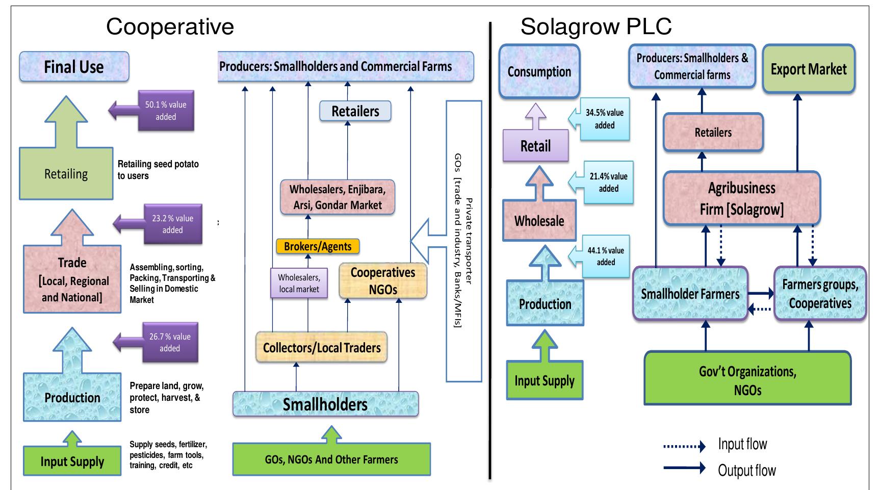 Seed potato value chain at sinan and debre ziet.