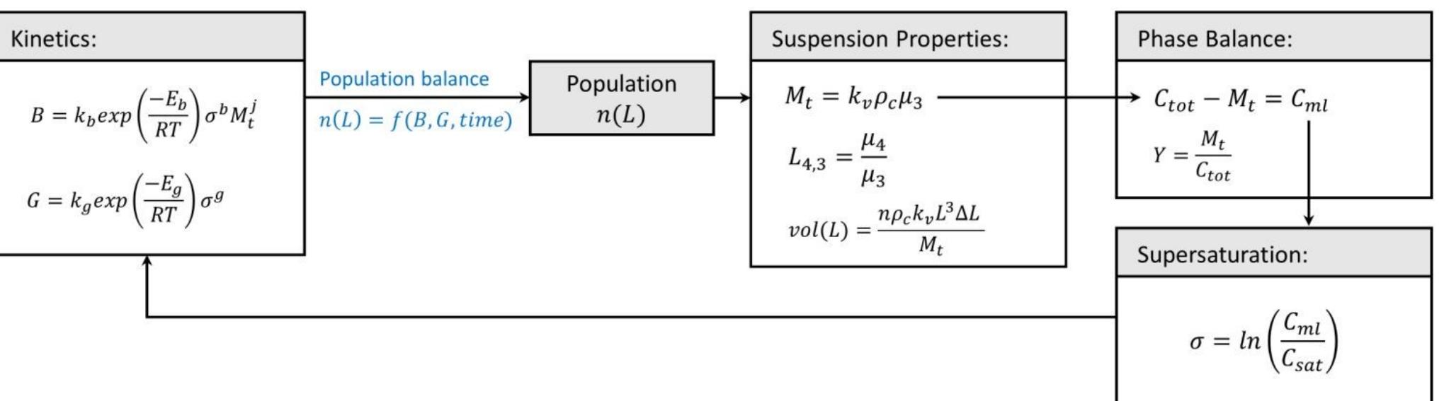 General shape of solution crystallization models for the