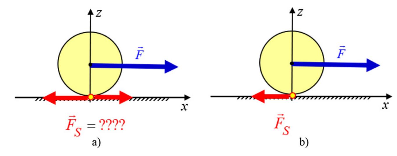 Schematic representation of the forces acting on the