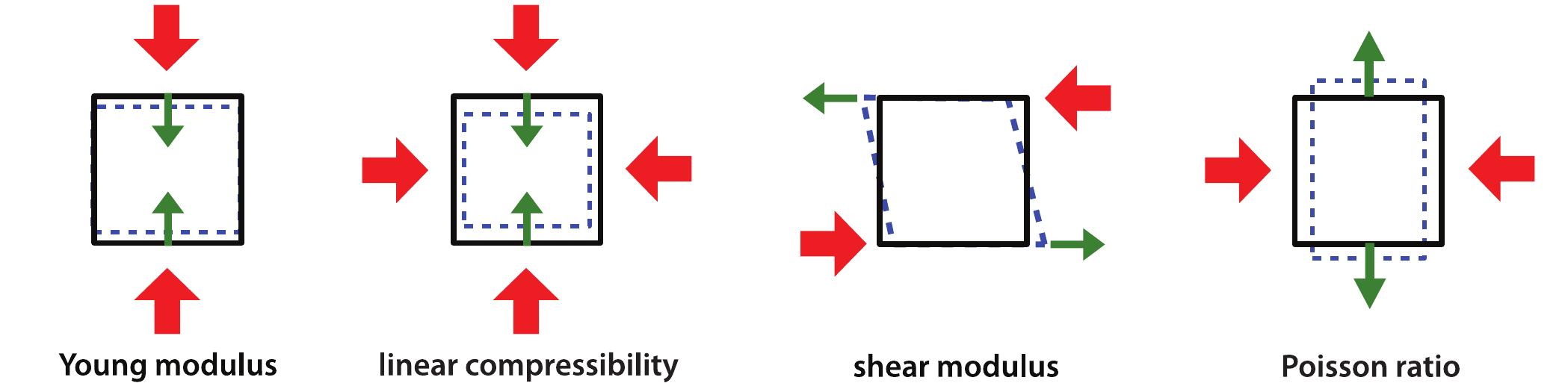 Schematic Representation Of The Directional Elastic