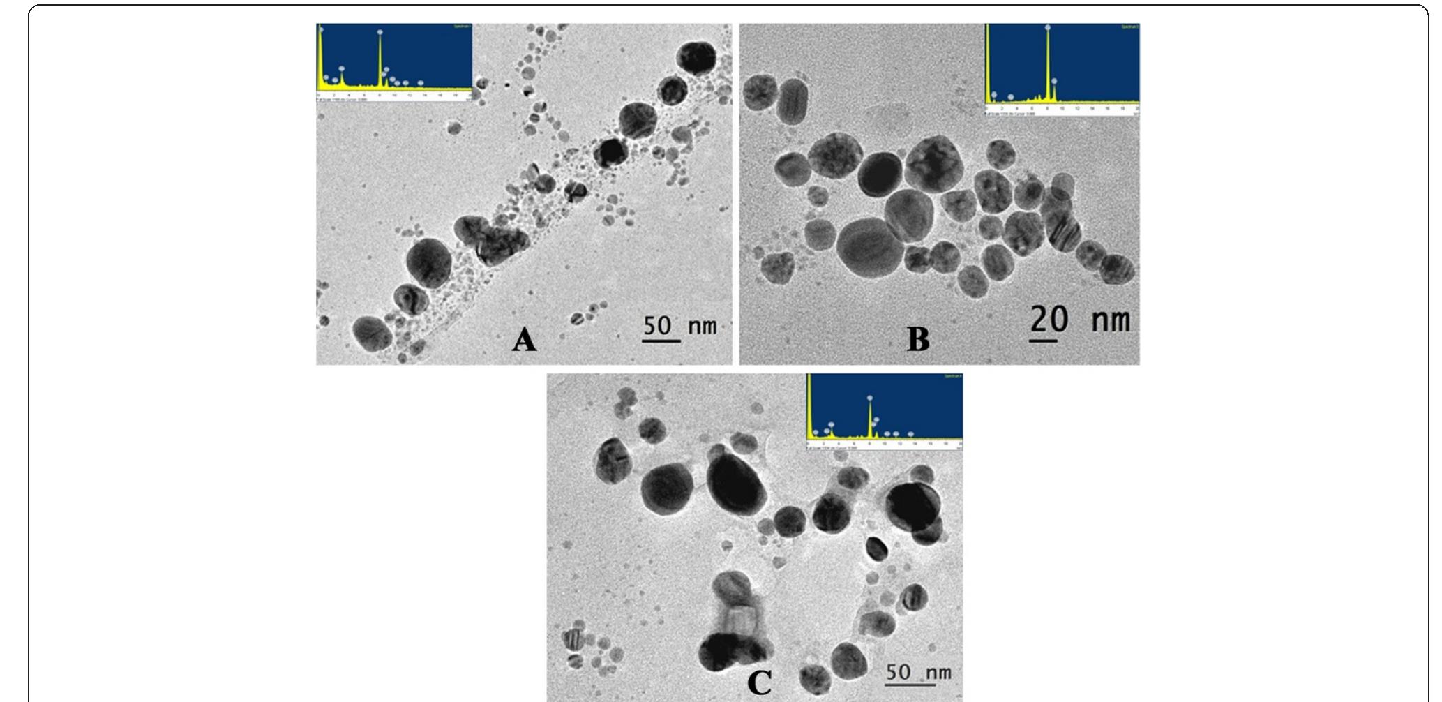 Tem images of silver nanoparticles. formed by the reaction