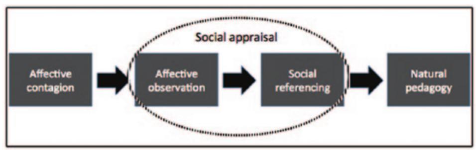 The pedagogical line: this line represents four stages of