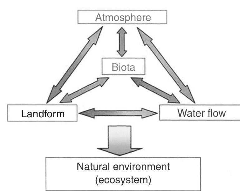 Tee «as modeling mangrove ecosystems following the above
