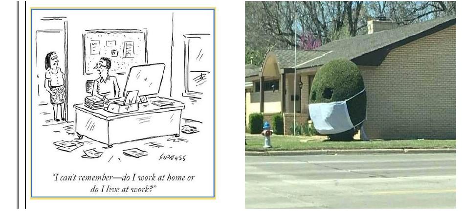 (c) meme with a cartoon. (d) meme without textual source