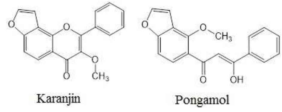 Chemical structure of karanjin and pongamol karanjin and