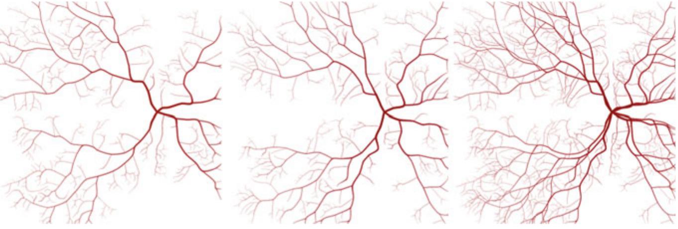25 (left) arterial fluid texture; (middle) vein texture;