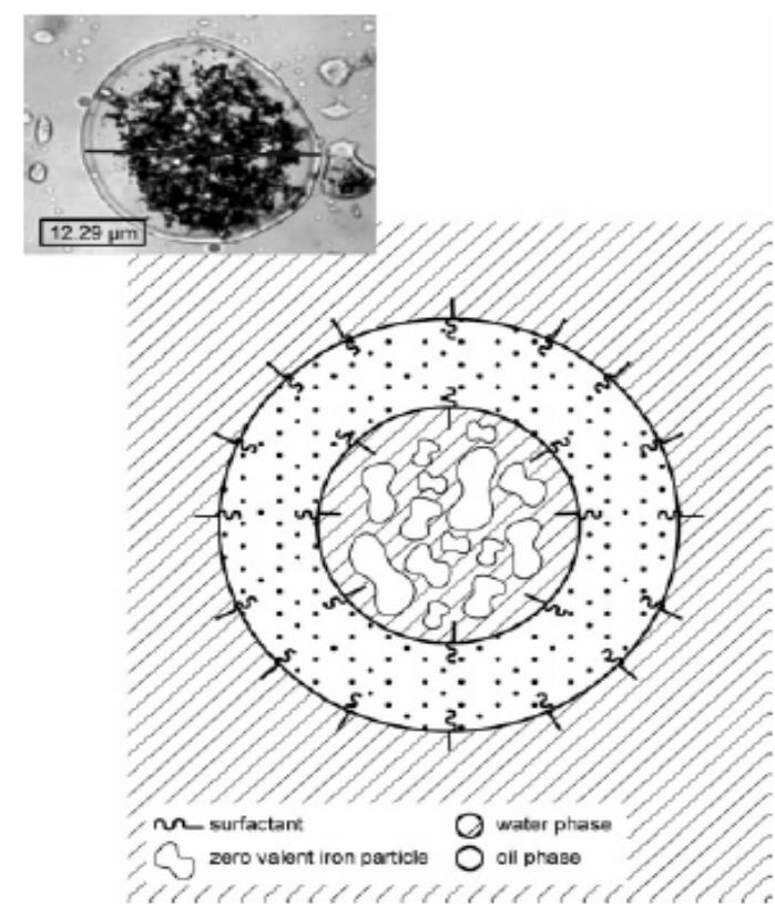 Schematic and photograph of ezvi (emulsified zero-valent
