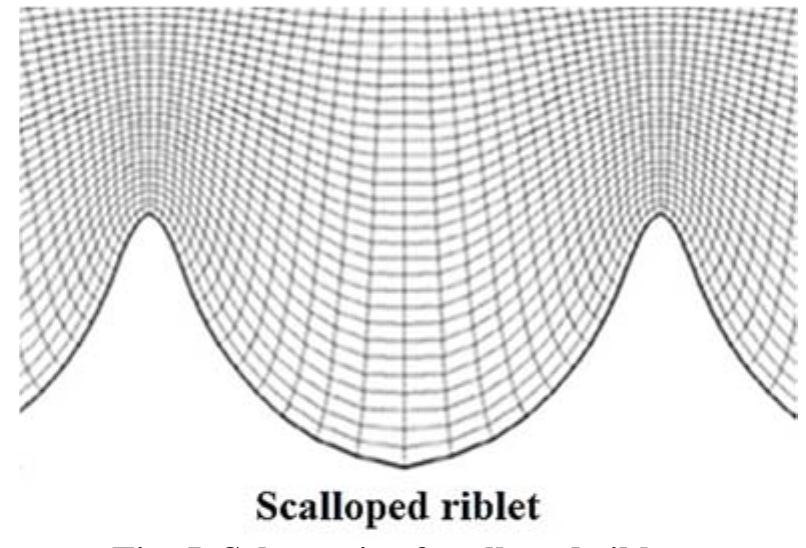 Schematic of scalloped riblets. figure 4: schematic of saw