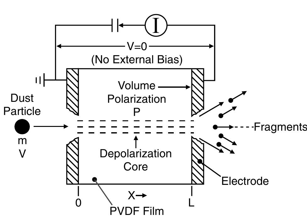 Schematic drawing of a polarized pvdf sample with conducting