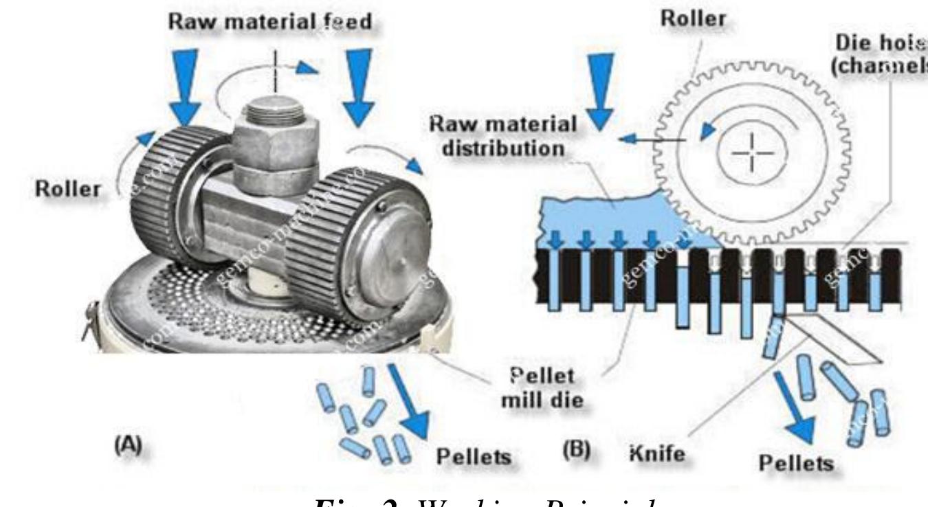 (PDF) Design And Fabrication Of Biomass Pelleting Machine