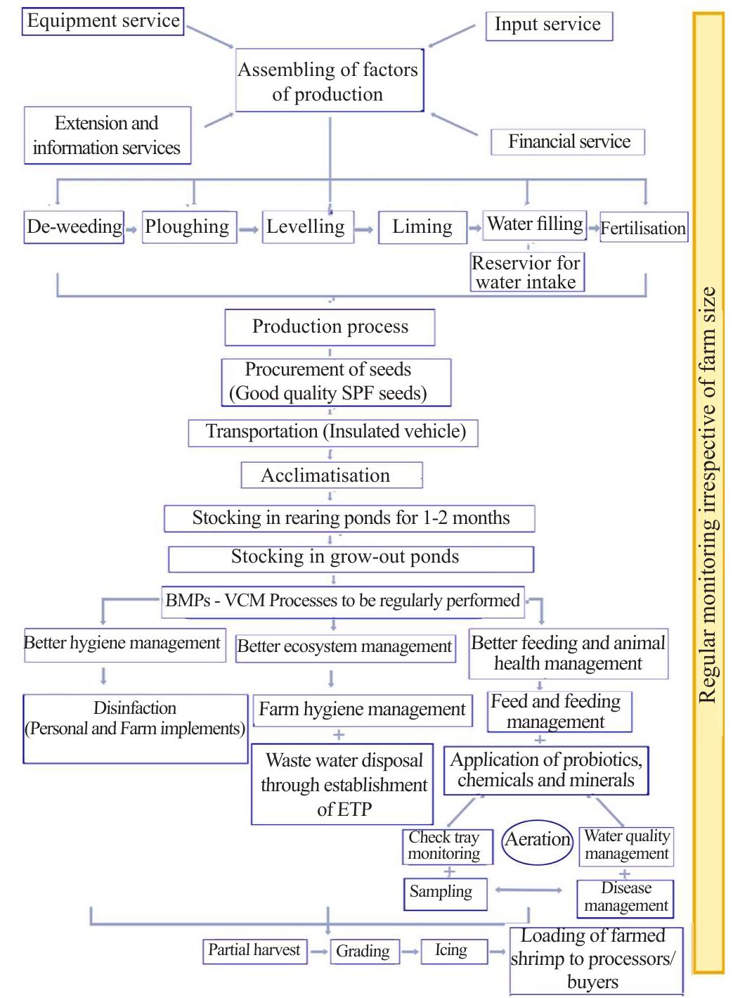 Cost effective shrimp value chain for farmers