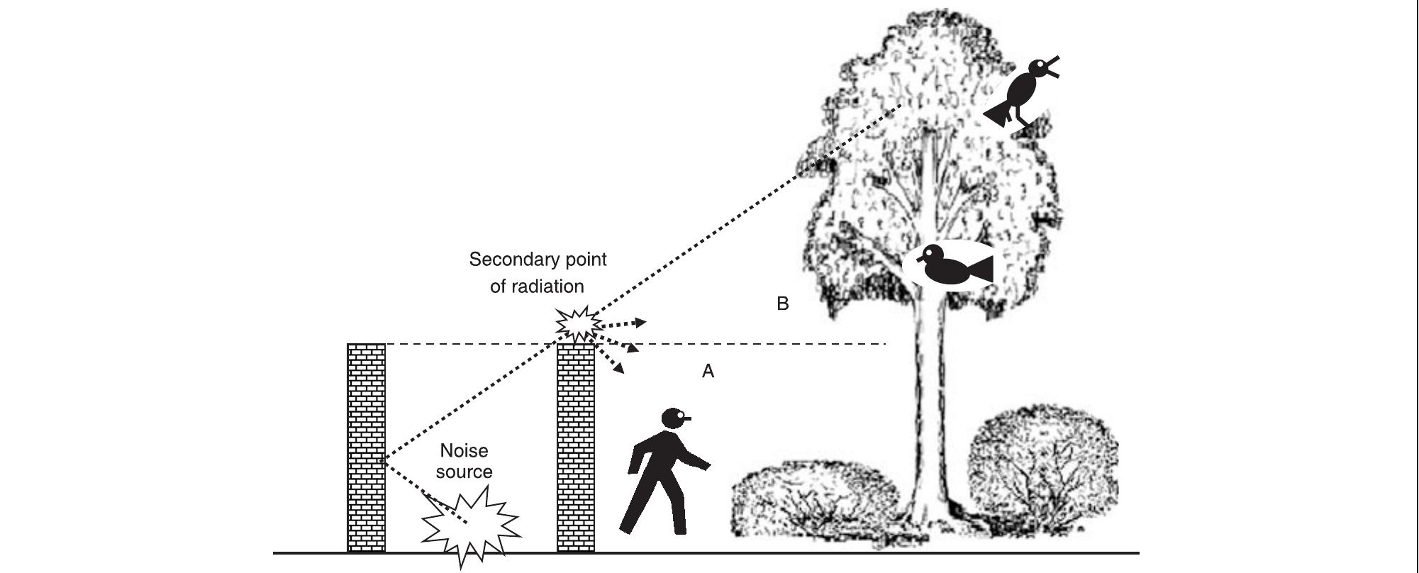 Raising a barrier between the noise source and bird breeding