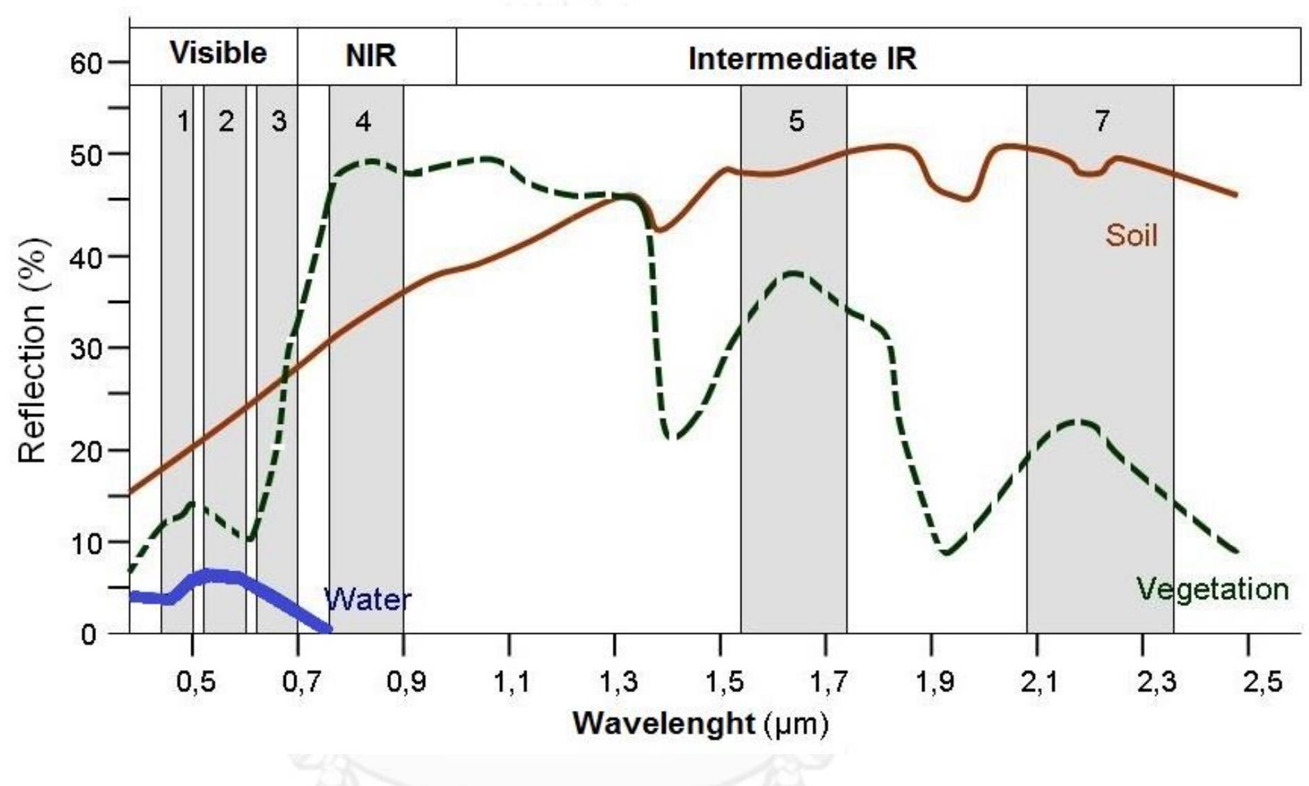 6 spectral signatures of soil, vegetation and water, and