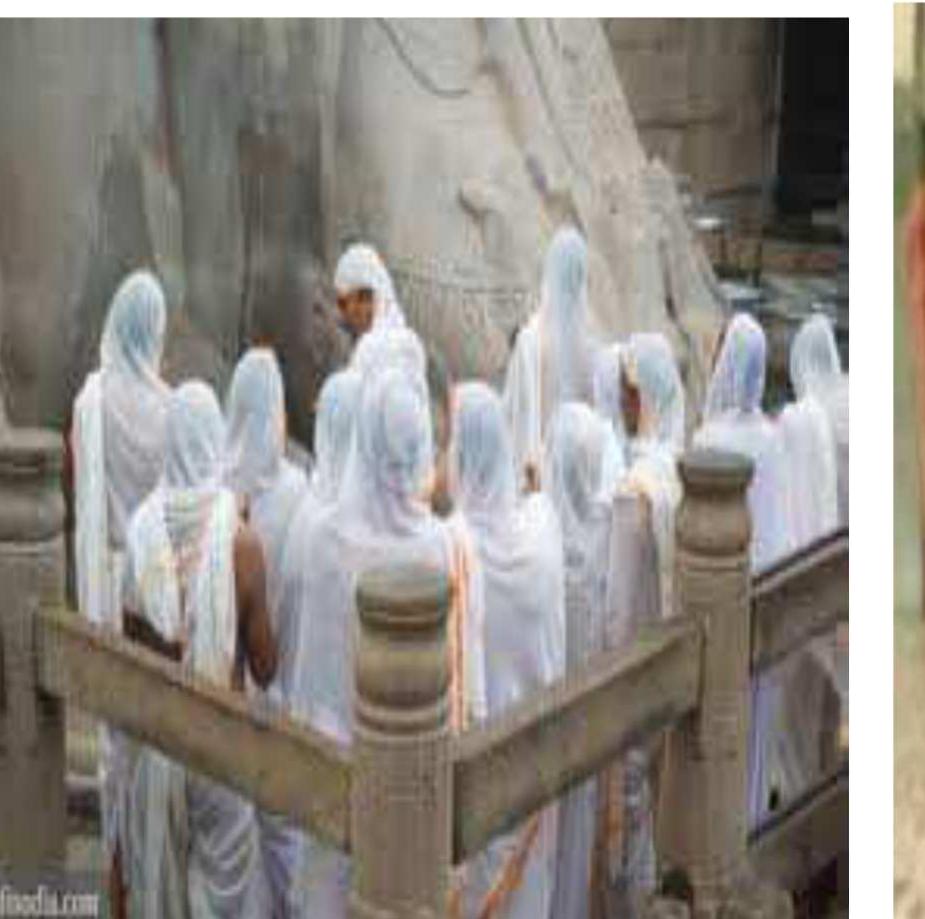 Figure 10 - The Sects and subsects of Jainism and a brief